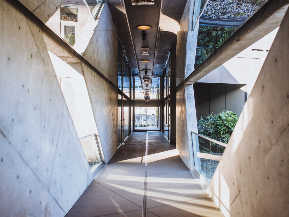 REGULARS – Knotsprings